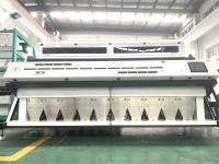 China RG10 RGB Camera 5400 Pixels Rice Optical Sorting Machine with AI sorting for sale