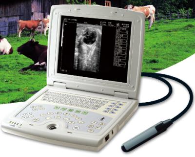 China laptop veterinary ultrasound scanner for sale