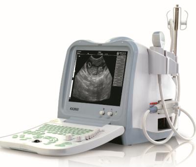 China portable veterinary ultrasound scanner for sale
