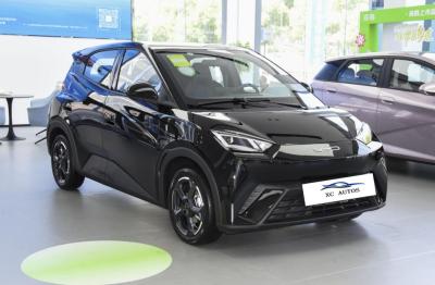Cina 130 Km/h Max velocità sospensione posteriore BYD Seagull 2023 Energised Compact Electric Car in vendita
