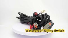Waterproof Automotive Switch Harness