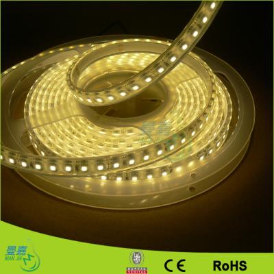 China Ip65/Ip67/Ip68 flexíveis Dimmable conduziram luzes de tira para a decoração da casa/hotel à venda