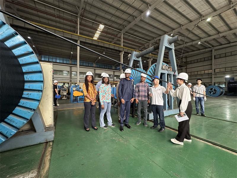 Fornecedor verificado da China - SHENZHEN DONGJIAXIN WIRE&CABLE CO.,LTD