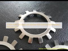 SS304 SS316 MS Steel Lock Washer with External Teeth Serrated in MB01-MB20 Sizes Packed in Cartons