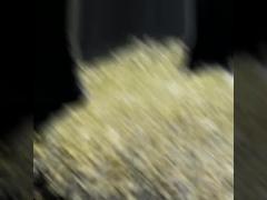 CPP 3