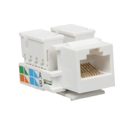 Cina Presa modulare femminile della chiave di volta del gatto 6 del connettore di UTP di AMP di RJ45 CAT5E in vendita