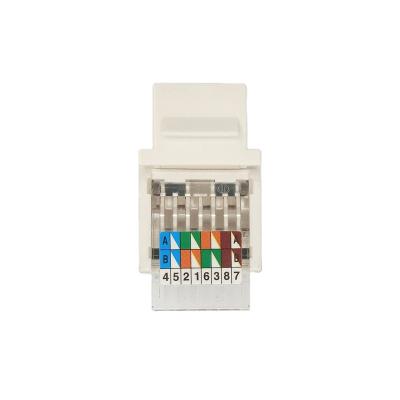Cina AMP Cat5E Jack trapezoidale, Rj45 Usb trapezoidale Jack di T568B in vendita