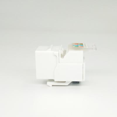 Cina RJ45 CAT5E CAT6 Toolless UTP Jack Female Modular Connector trapezoidale in vendita