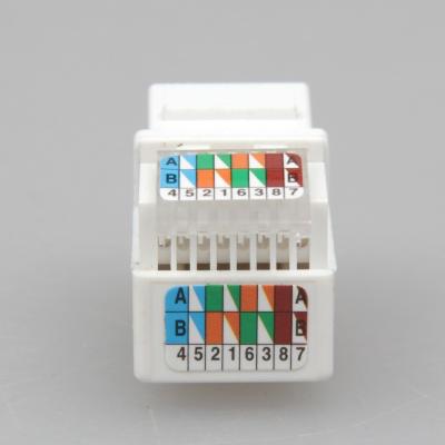 Cina Presa trapezoidale tooless del commscope cat6 di RJ45 Cat6 in vendita