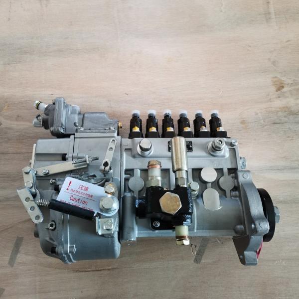 Bombas de inyección de combustible de alta presión CP61Z P61Z651 B para reparación de motores Shangchai