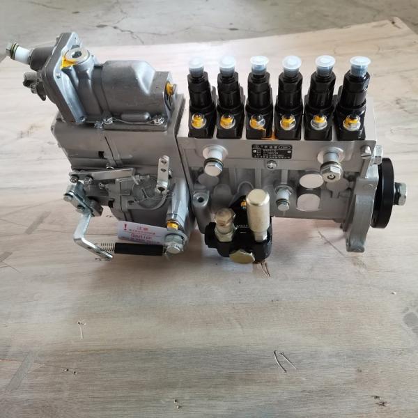 Bombas de inyección de combustible de alta presión CP61Z P61Z651 B para reparación de motores Shangchai