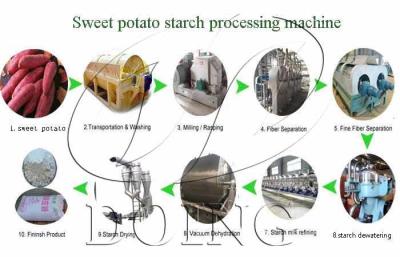 China sweet potato starch preparation for sale