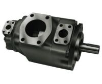 China Industrial Vane Pump Type T67EB, Denison Parker for sale