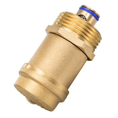 Cina Auto Air Vent Valve Good Heat Resistance Quick Release Exhaust Valve in vendita