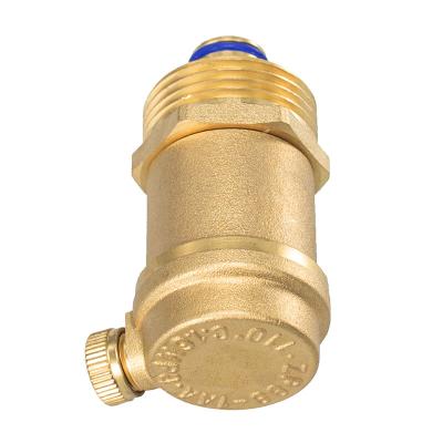 Cina Auto Air Vent Valve Good Heat Resistance Quick Release Exhaust Valve in vendita