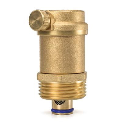 Cina Auto Air Vent Valve Good Heat Resistance Quick Release Exhaust Valve in vendita