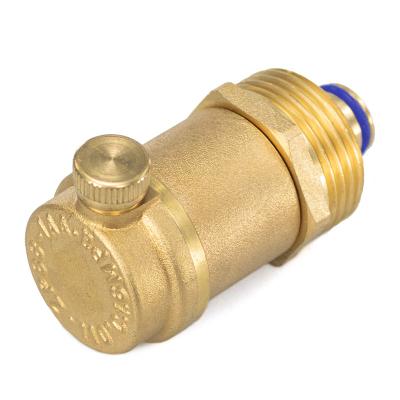 Cina Auto Air Vent Valve Good Heat Resistance Quick Release Exhaust Valve in vendita