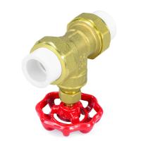 China Brass PPR Gate Valve 2 Inch 4 Inch PN16 for Water Supply Systems for sale