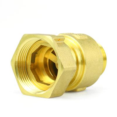 Cina Anti Air Rotation Brass  Check Valve Vertical Male Female Check Valve in vendita