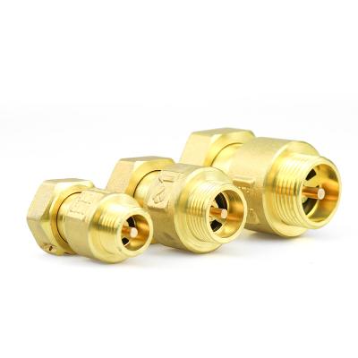 Cina Anti Air Rotation Brass  Check Valve Vertical Male Female Check Valve in vendita