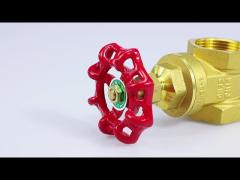 Gasoline Metal Gate Valve Oil And Gas 1 Inch 2 Inch 3 Inch 4 Inch