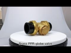 1/2in Backflow Preventer Hydraulic Check Valve One Way Non Return