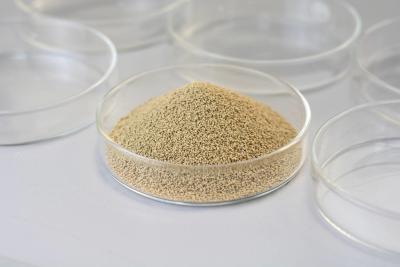 China Hoge herbruikbaarheid van immobilized lipase granule 4000U/g Te koop