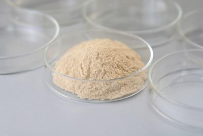 中国 革 薬 や 化粧品 に 用い られ て いる 工業 酵素 ケルチナース 販売のため