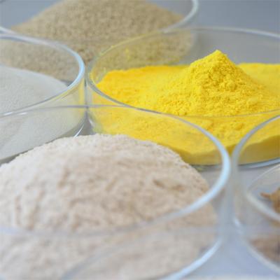 China α-galactosiddse is used to enzymatically dissolve alpha-galactoside bonds in raw materials and reduce poly-flatulence factors and improve product quality for sale
