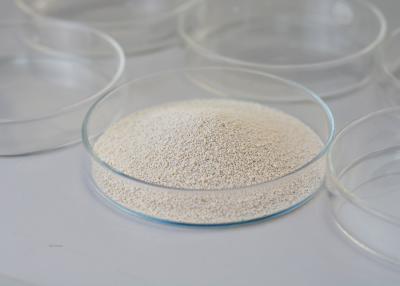 China Food Grade Lactase Bio Enzymes For Wastewater Treatment Used To Produce Low-Lactose for sale