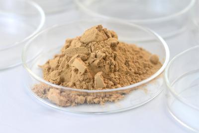 China Glucoamylase Beverage Enzyme Improve The Fermentation Degree for sale