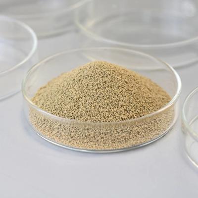 China Food Grade Neutral Protease,Food Grade Enzyme Preparations for sale
