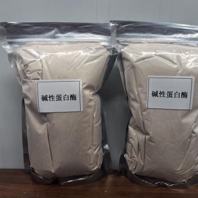 China Serinyl-trna Synthetase Rinse Mouth if Inhaled Advanced Post-Process Technology for Safe and Production for sale