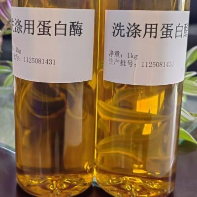 중국 미생물 발효 생산 기술 건조 보관 조건의 알칼리성 프로테아스 요구 사항 판매용