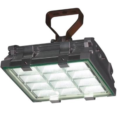 le projecteur industriel IP65 du Cree LED de 60W 2700k chauffent le blanc pour l'usine chimique