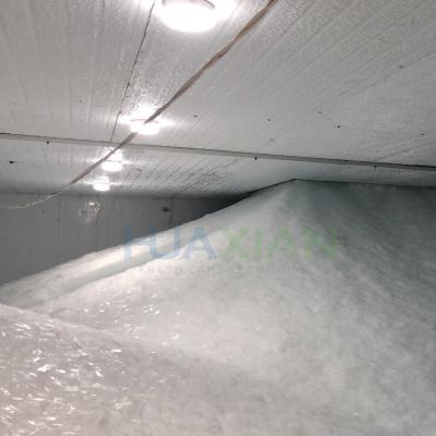 China Fish/Shrimp/Seafood Cool Warehouse Storage Room, Flake/Block Ice Storage Cold Room for sale