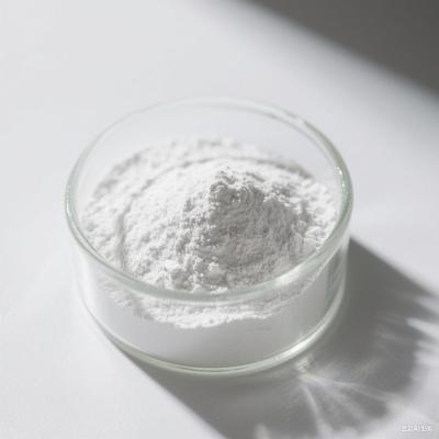 China Calcined Alumina Ceramic Parts Gamma Alumina Powder CAS 21645-51-2 High Purity for sale