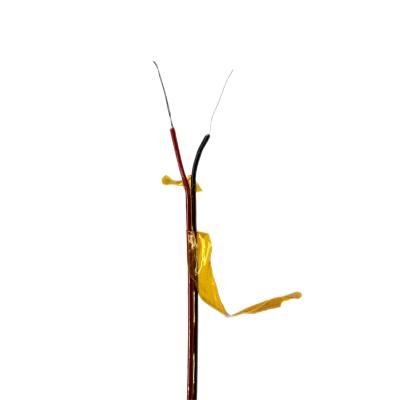 Cina Dingzun Thermocouple Kapton Insulation Polyimide Jacket Type K Wire in vendita