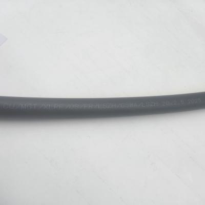 China Cable de instrumentação 300/500V 20Cores CU/MGT/XLPE/OS/FR/LSZH/GSWA/LSZH 20х2,5 à venda
