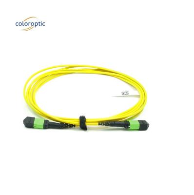 China Passive Optical Single Mode Patch Cord MPO-12 / APC-To-MPO12 / APC for sale