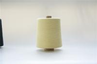 China Para Aramid Yarn 30S/2 Anti-Cut High Strength Textile Material - 500kg MOQ, EN 11612 Certified for sale