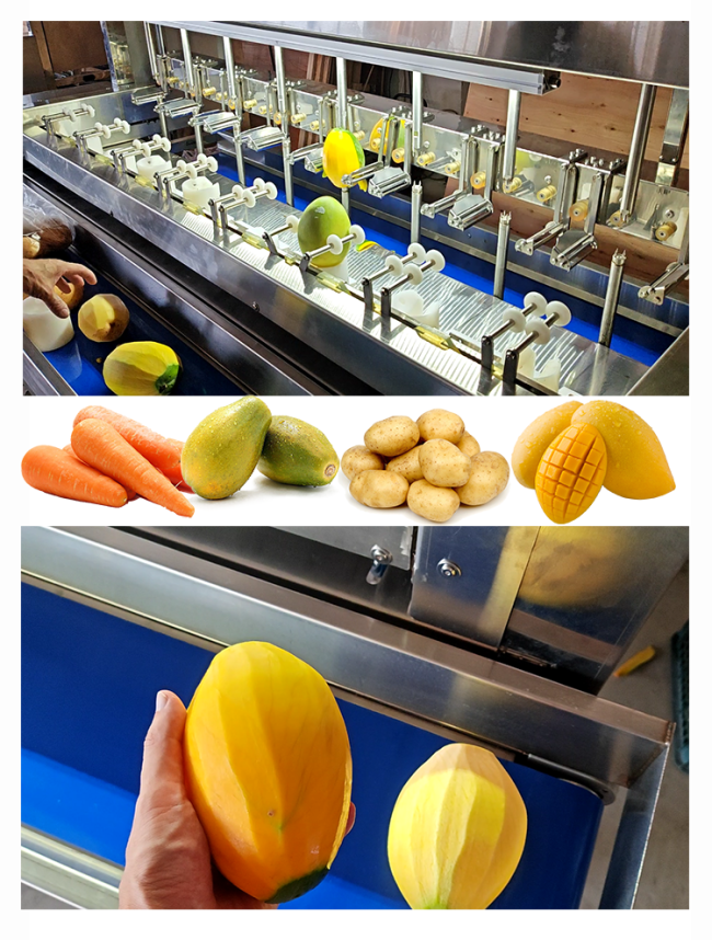 Intelligent peeling machine features: