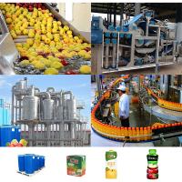China Apple Pulp Jam Processing Line Puree & Paste Making Machine for sale