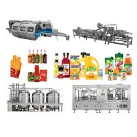 China Complete Berry Processing Line | Turnkey Factory Solution for Juice & Puree for sale