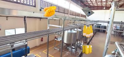 중국 100T/D 산업적 망고 잼 처리 공정 라인 신선한계절과일모둠 성형기 판매용