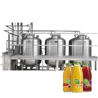 China Complete Berry Processing Line | Turnkey Factory Solution for Juice & Puree for sale