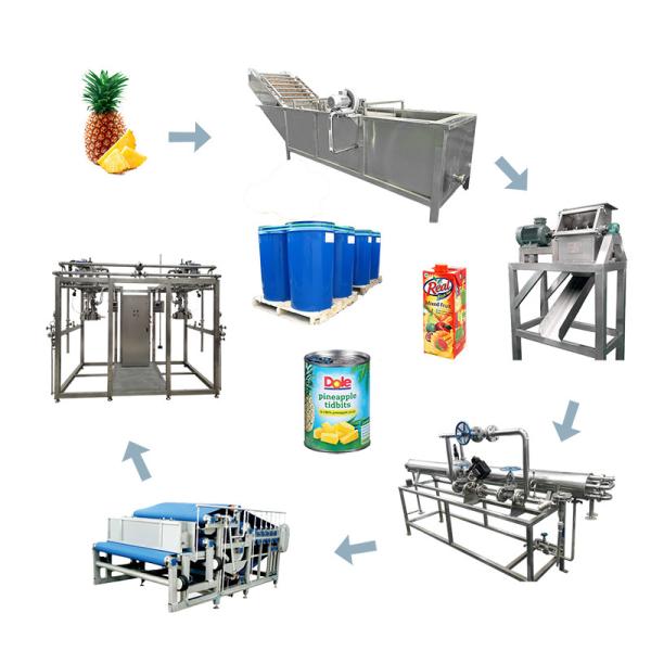 Saft- und Pureeverarbeitungsmaschine für die Ananasverarbeitungslinie