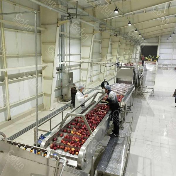 Máquina de procesamiento de jugo de manzana industrial multifuncional para la línea de producción de salsa de manzana