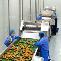 China Fully Automatic Mango Juice Processing Line Machine For Mango Processing Factory for sale