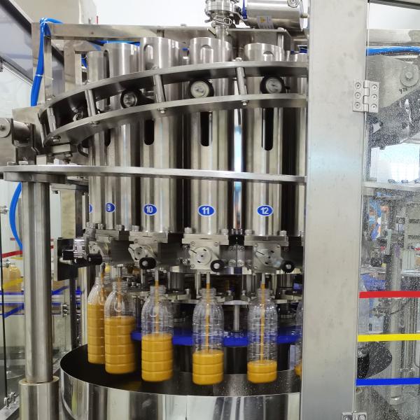 Saft- und Pureeverarbeitungsmaschine für die Ananasverarbeitungslinie